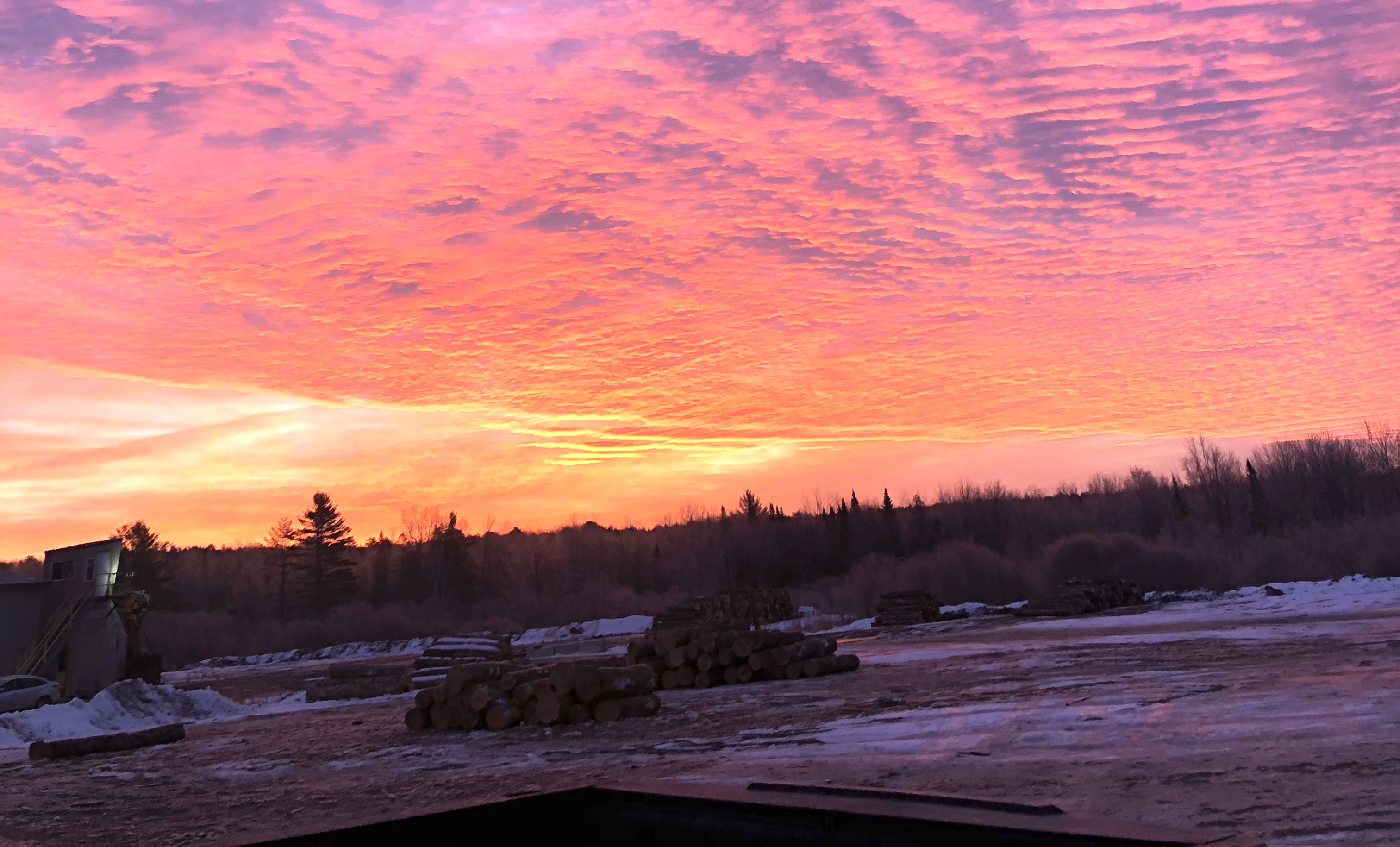 Sebasticook Lumber, Quality Lumber from Maine – Quality Hardwood Lumber